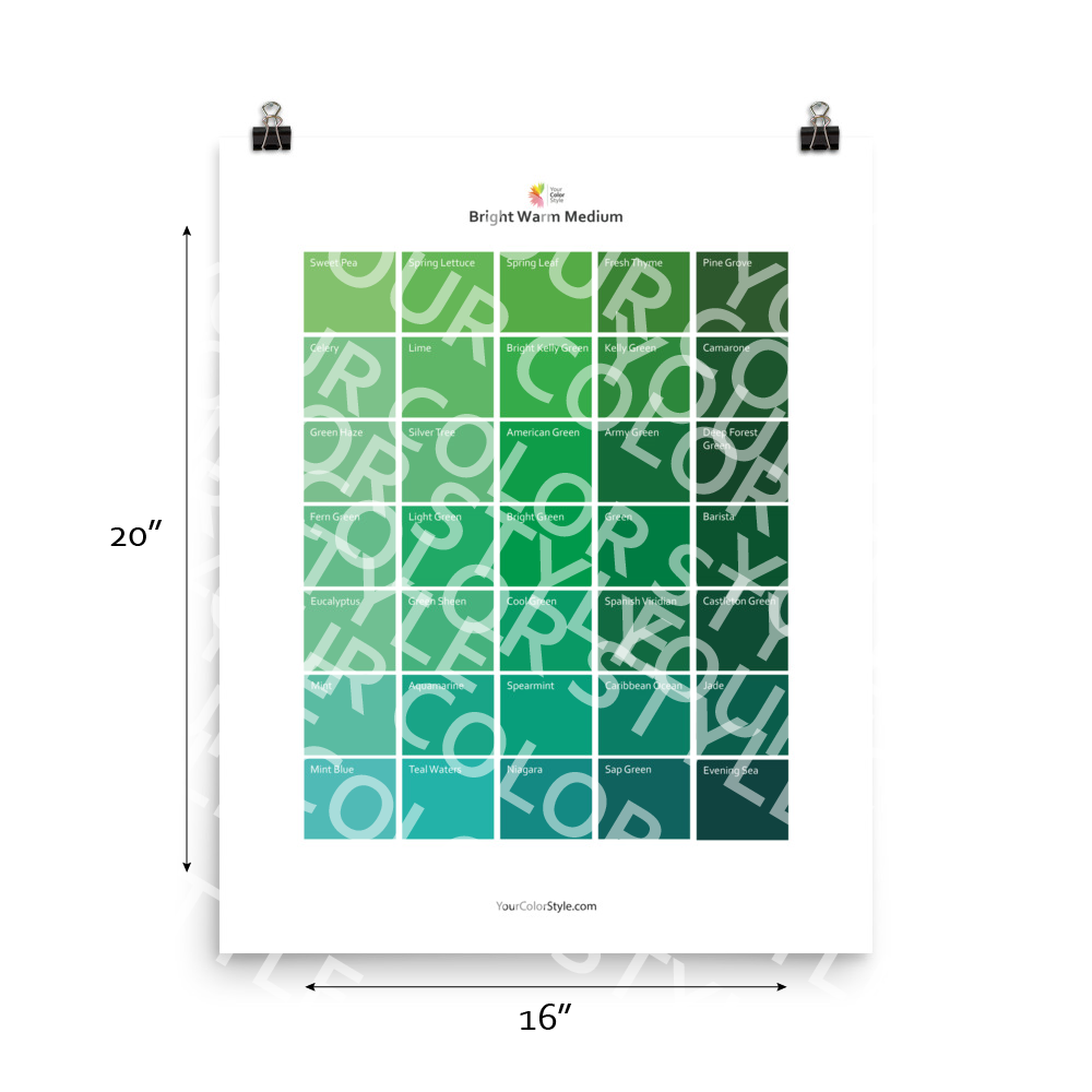 Bright Warm Medium Color Palette - Greens