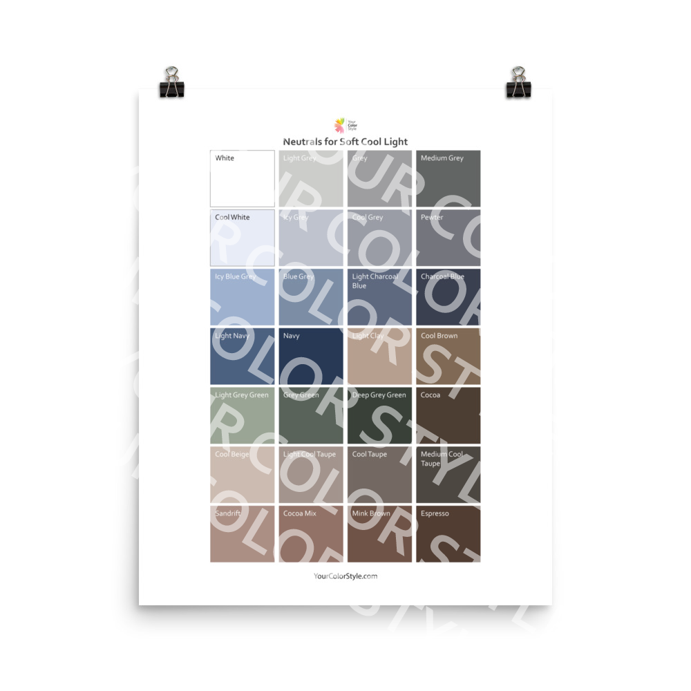 Soft Cool Light Color Palette - Neutrals